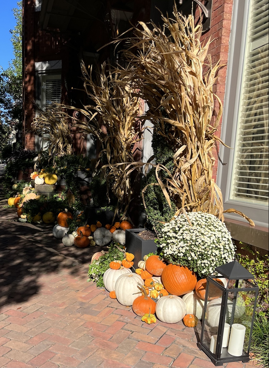 A Prolific Pumpkin Display – NealEnJoy