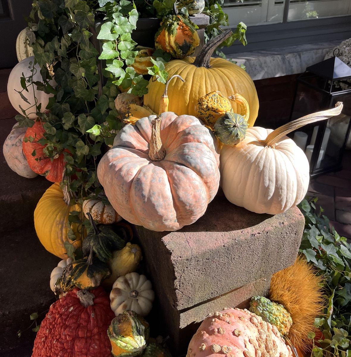 A Prolific Pumpkin Display – NealEnJoy