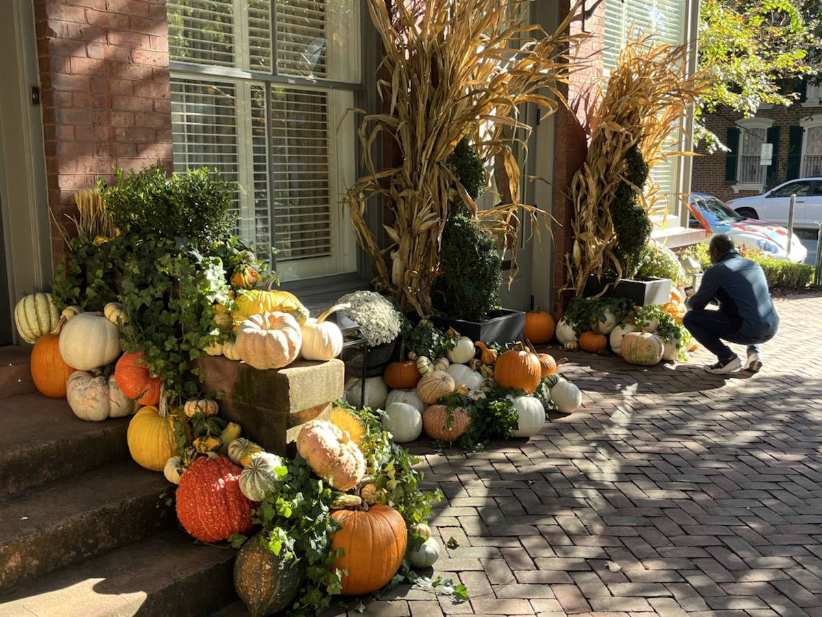 A Prolific Pumpkin Display – NealEnJoy