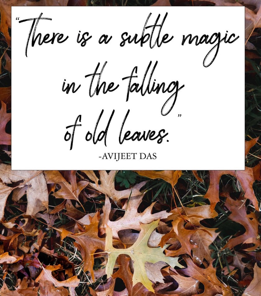 Subtle Magic – NealEnJoy