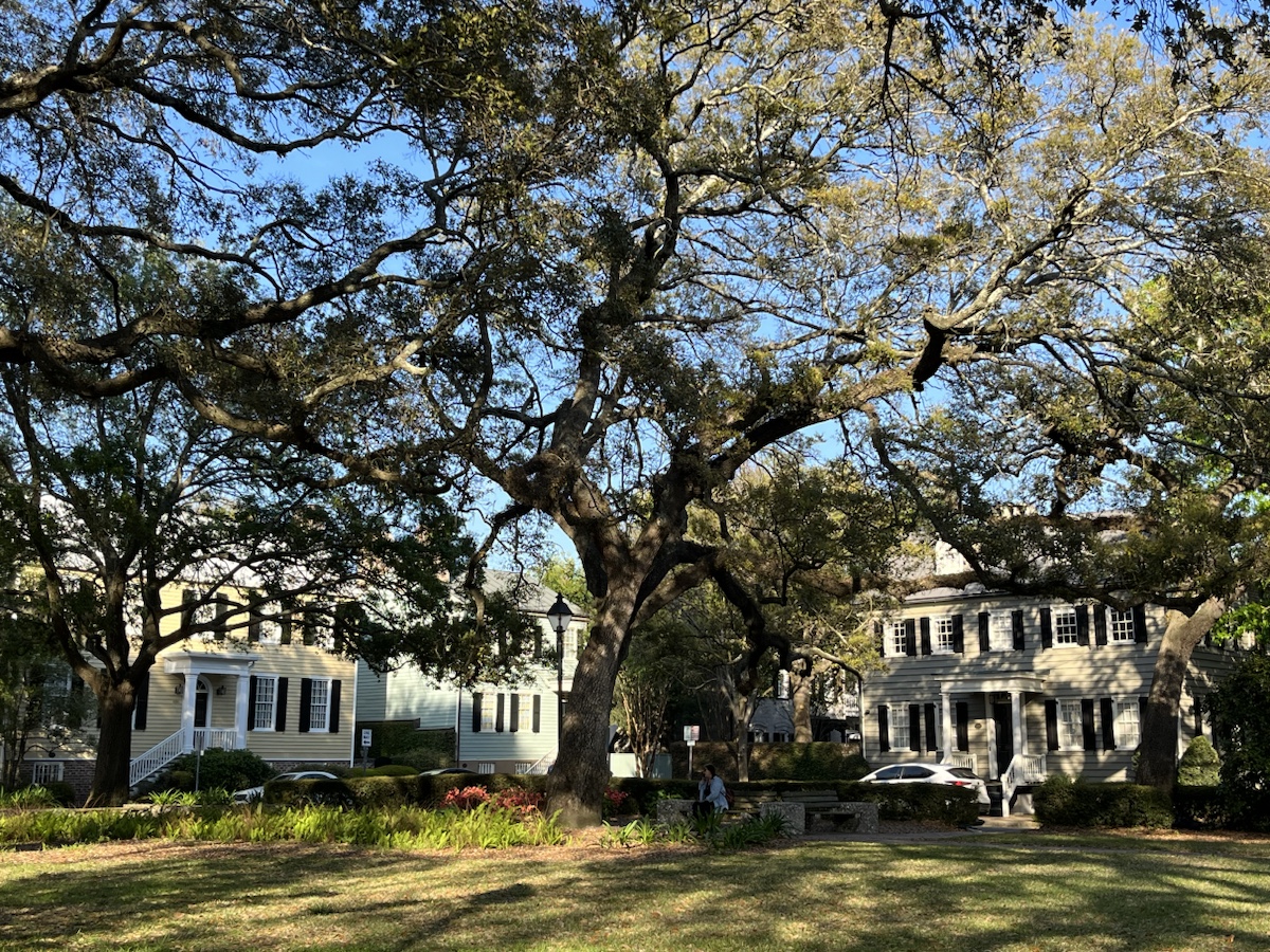 Subtle Magic – NealEnJoy