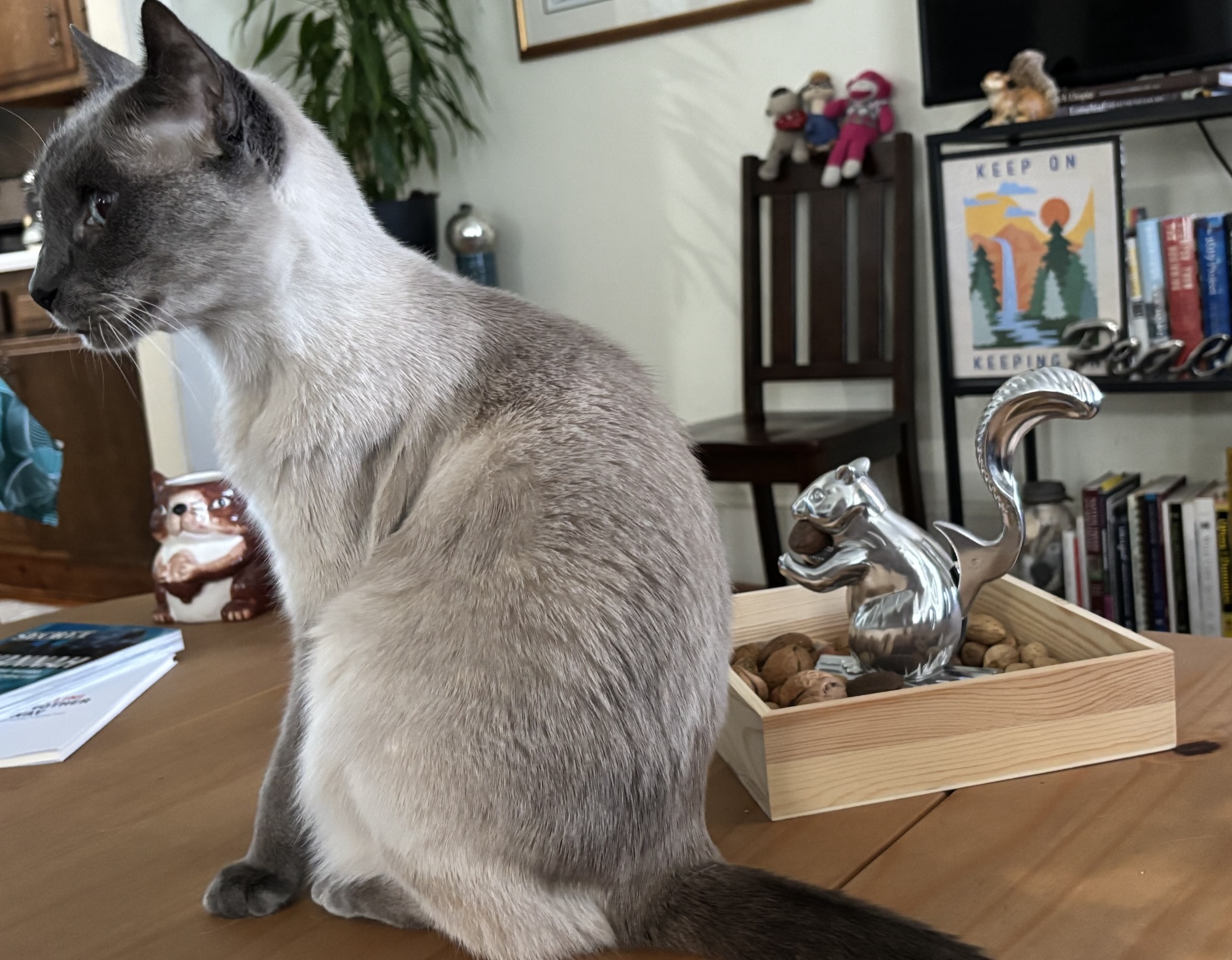 “Petty Cat” – NealEnJoy