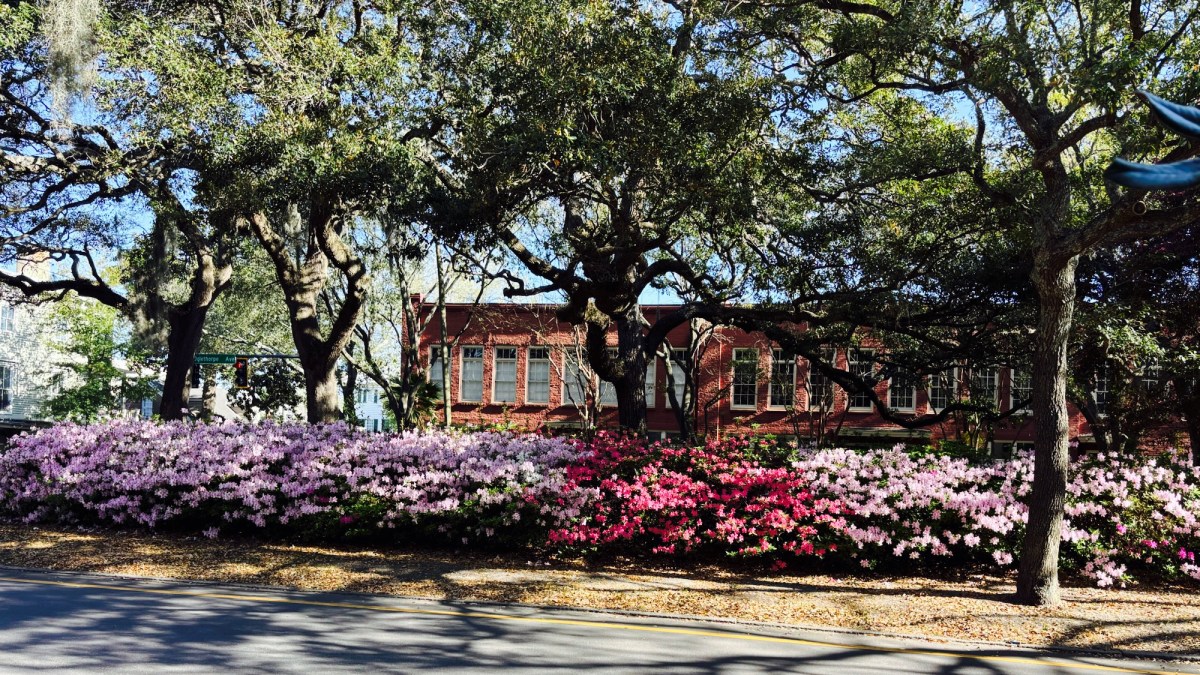 First Day of Spring in Savannah – NealEnJoy