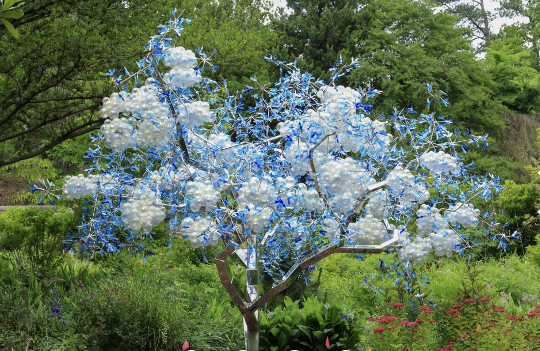 Tuesday Trees – NealEnJoy