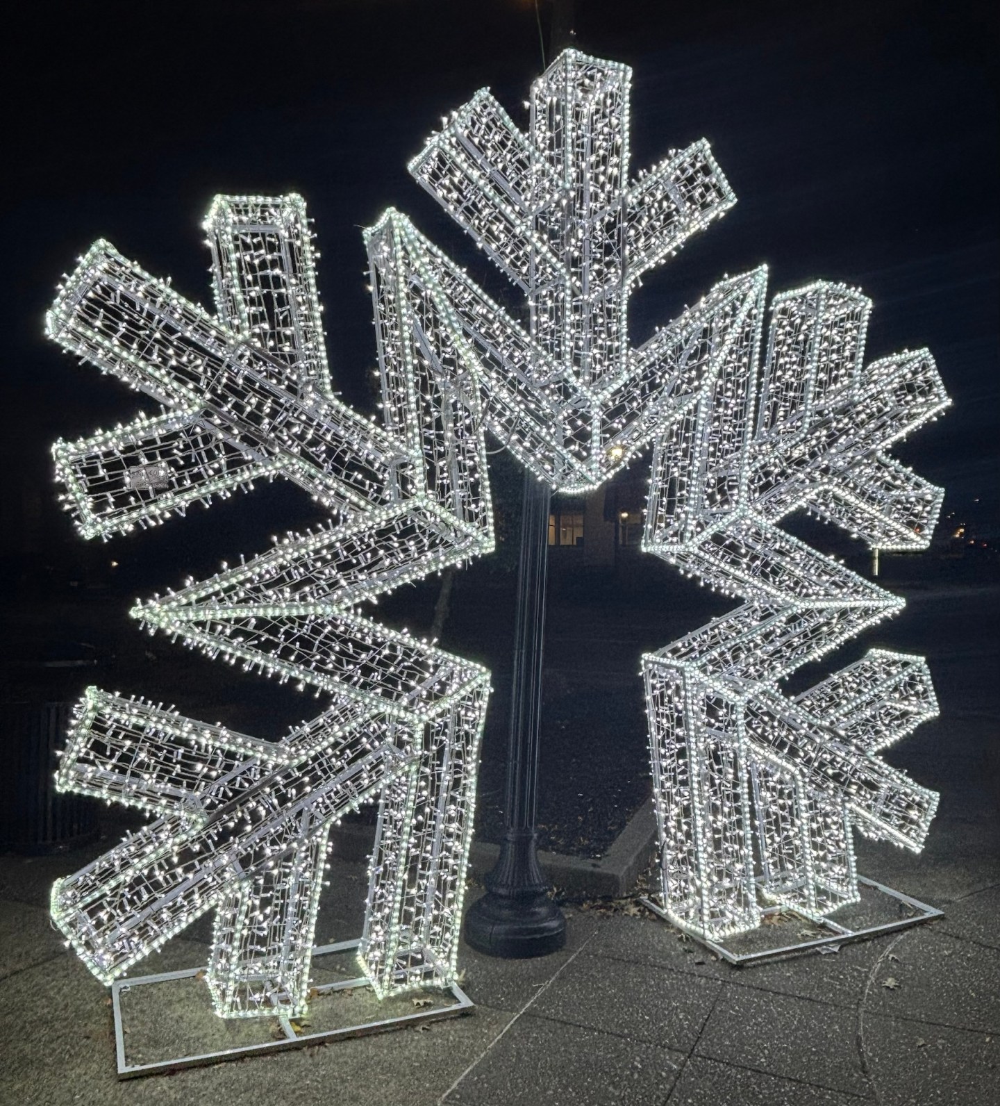 One-Word Wednesday 12/24/25 – NealEnJoy